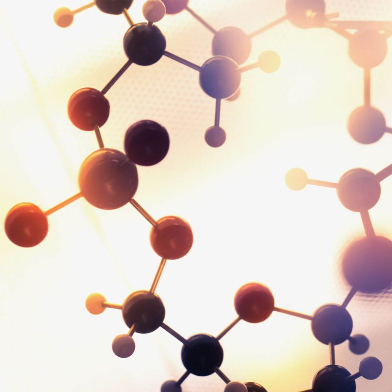 Human Energy - Kacyra Family Foundation – KFF